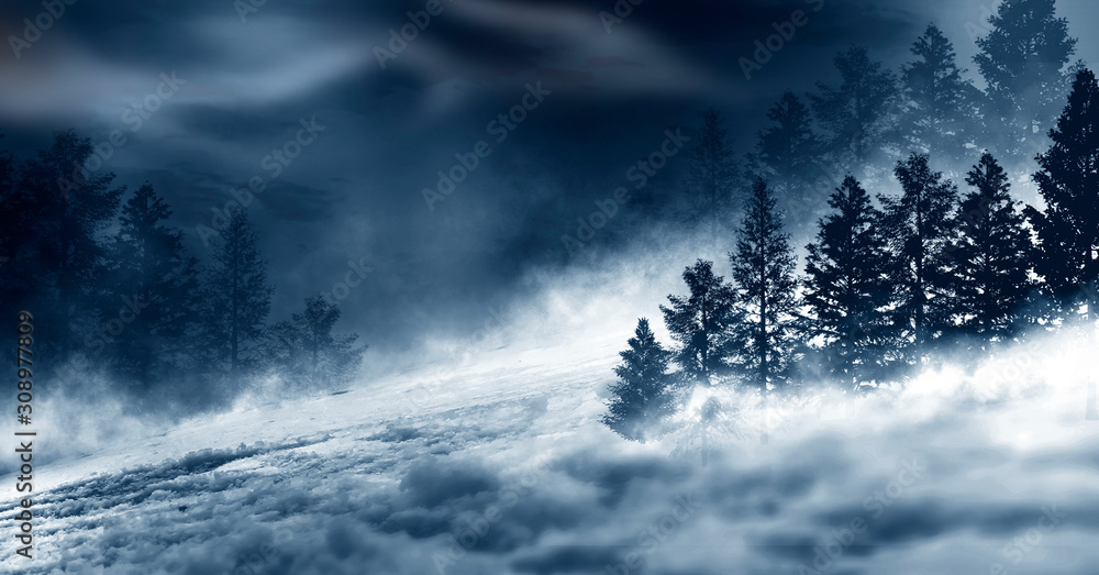 Snow Forest Night Wallpaper