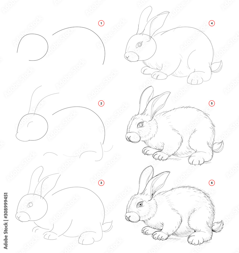 How To Draw A Realistic Rabbit Step By Step