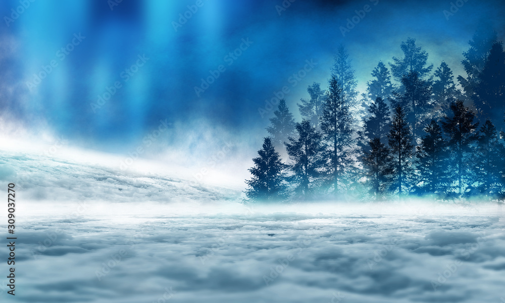 Night Snow Forest Wallpaper