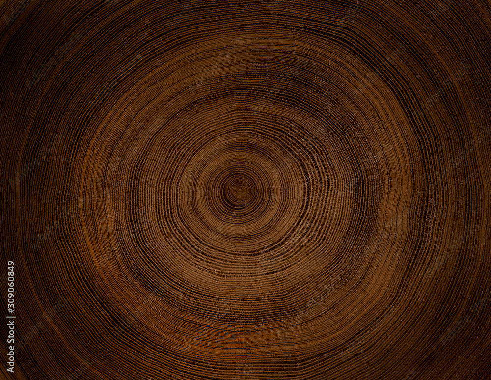 Old wooden oak tree cut surface. Detailed warm dark brown and orange ...