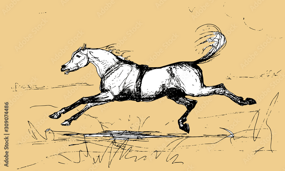 Horse Galloping In Field Drawing