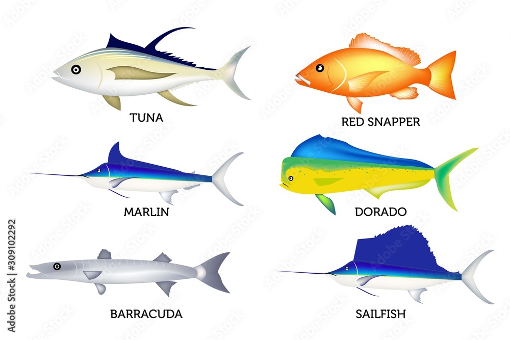 Vetor de Cartoon Illustration ocean fish collection vector design. Blue ...