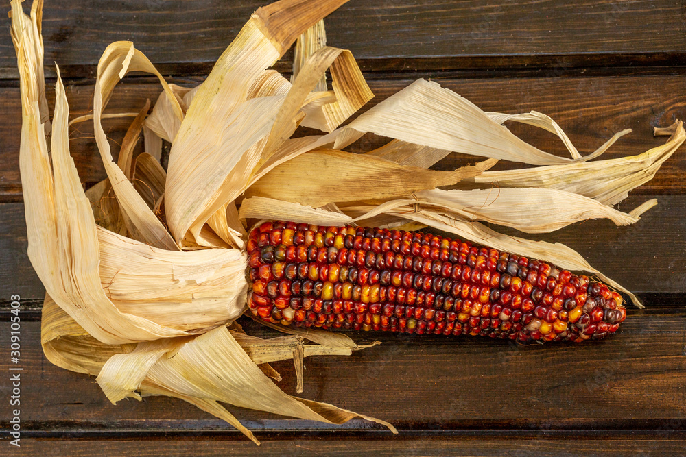 Flint corn Stock Photo | Adobe Stock