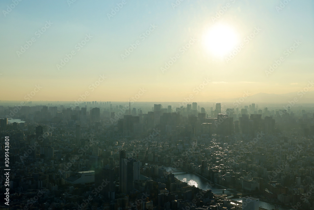 Beautiful city landscape of Tokyo city in the sunrise and à¸”aint fog ...