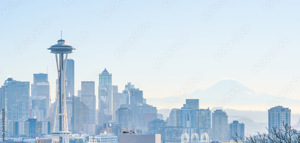 Seattle Winter Skyline
