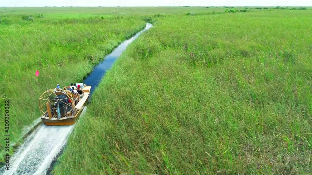 Airboat tour in Florida swamps. Aerial view of Everglades National Park ...