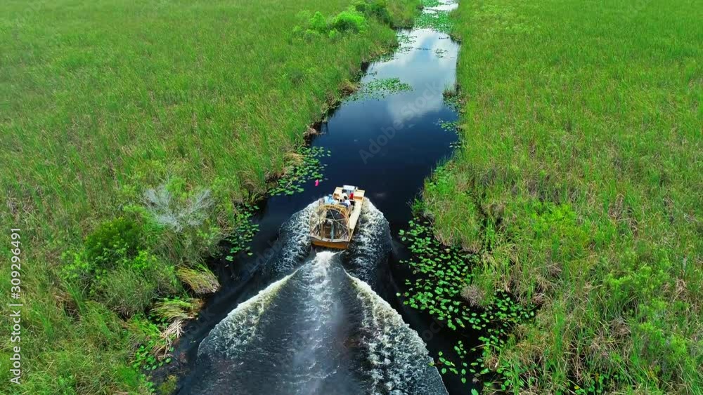 Airboat tour in Florida swamps. Aerial view of Everglades National Park ...