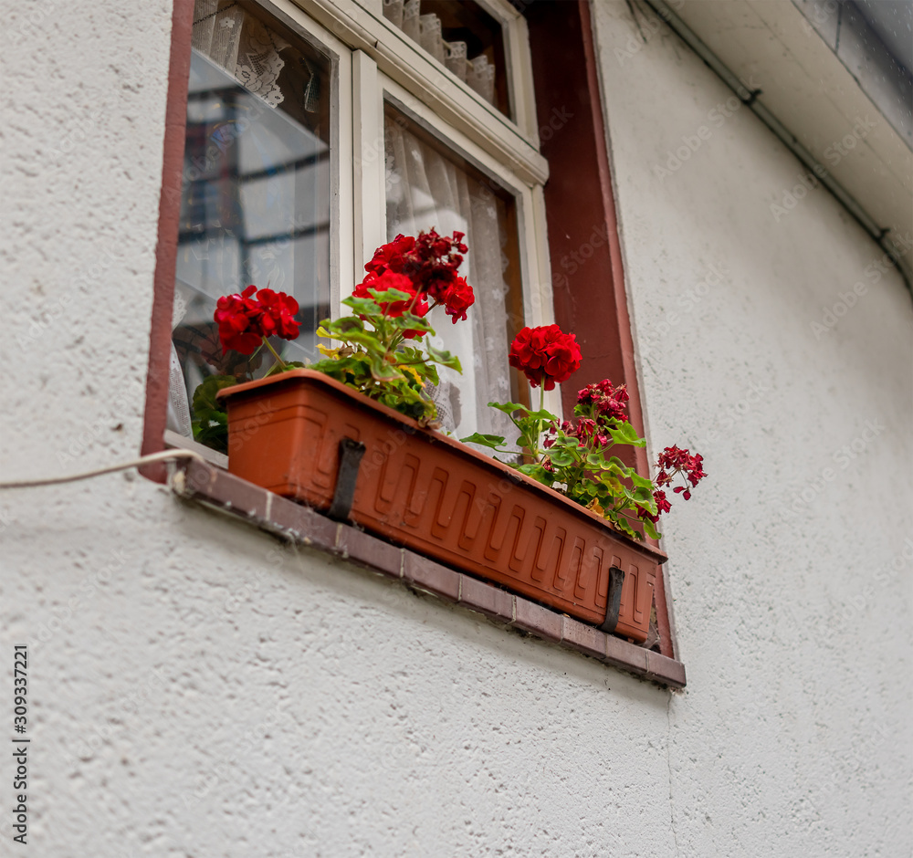Selective focus on a pretty window box display on a German house Stock ...