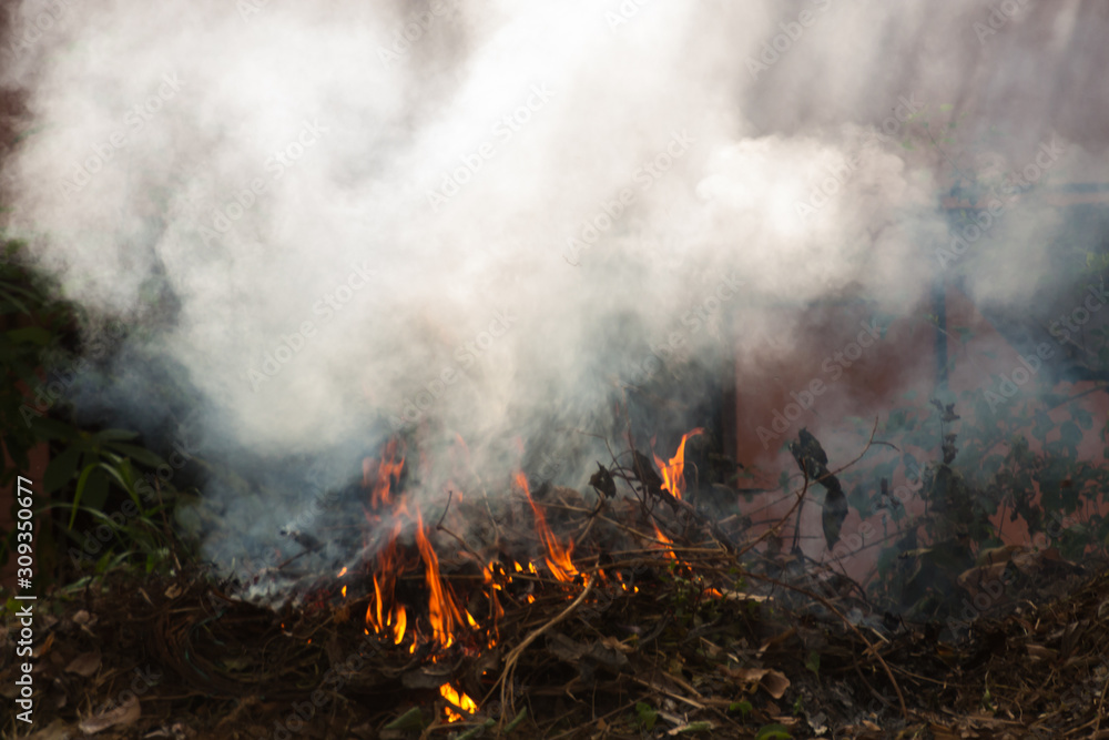 Foto de White thick smoke coming out of fire when dry leaves caught ...
