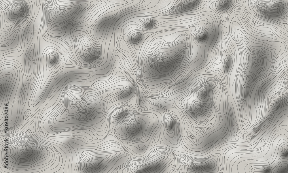 Poster Shaded relief topographic map vector illustration, contour line ...