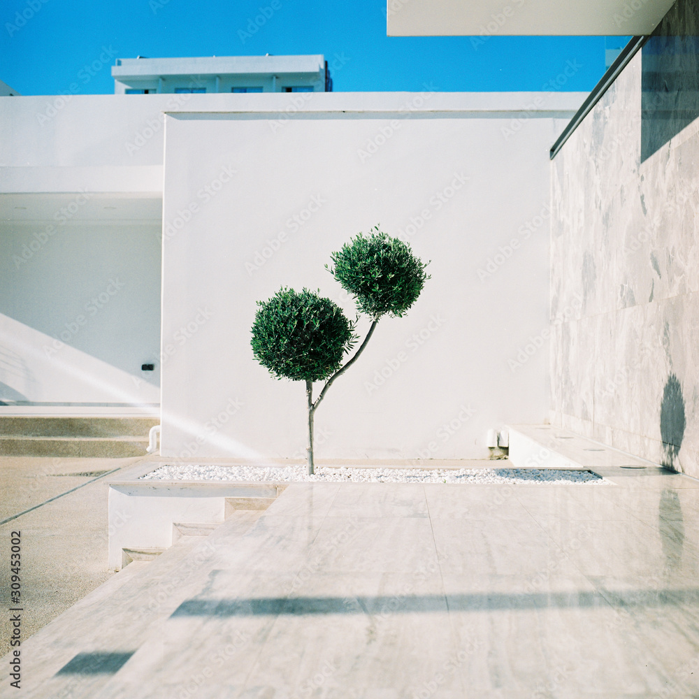 Geometry Stock Photo | Adobe Stock