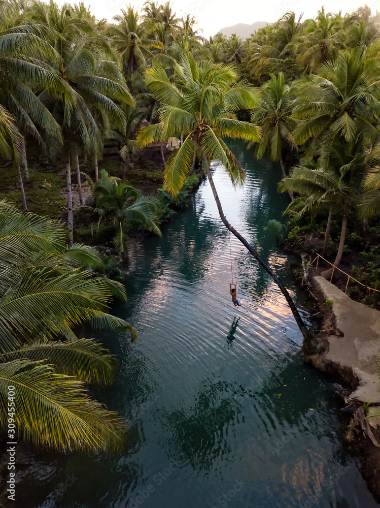 Man swinging from a palm tree in Siargao Stock Photo | Adobe Stock