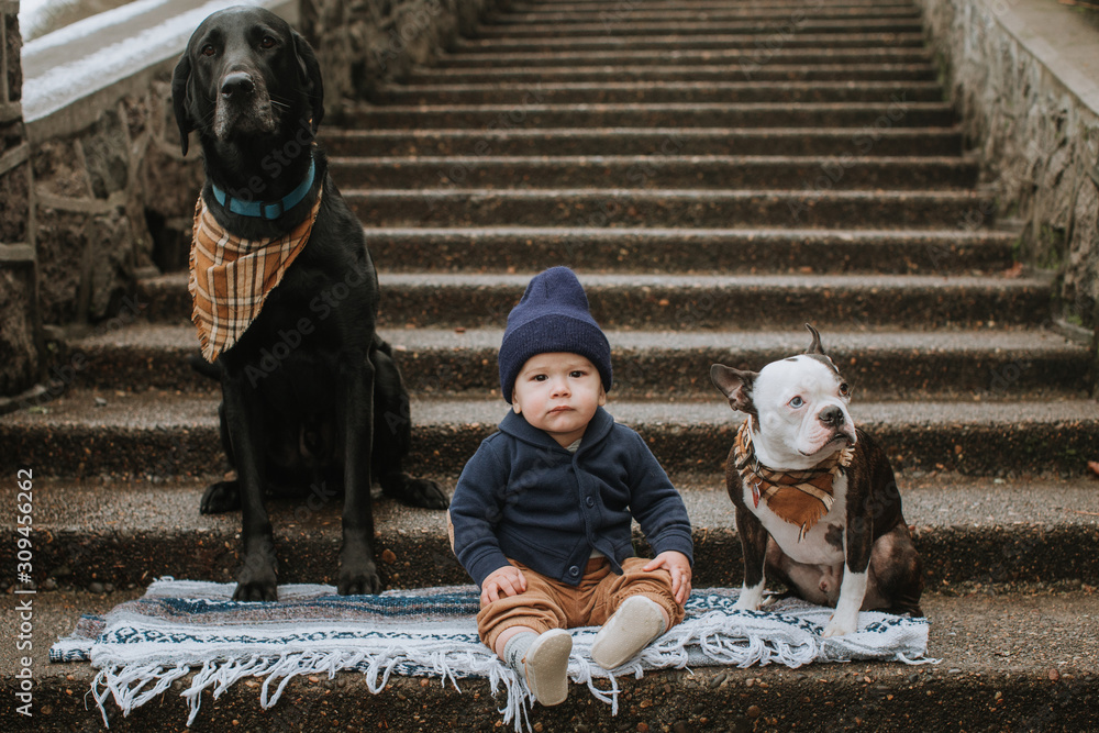 Baby Sitting with Dogs on Staircase Stock Photo | Adobe Stock