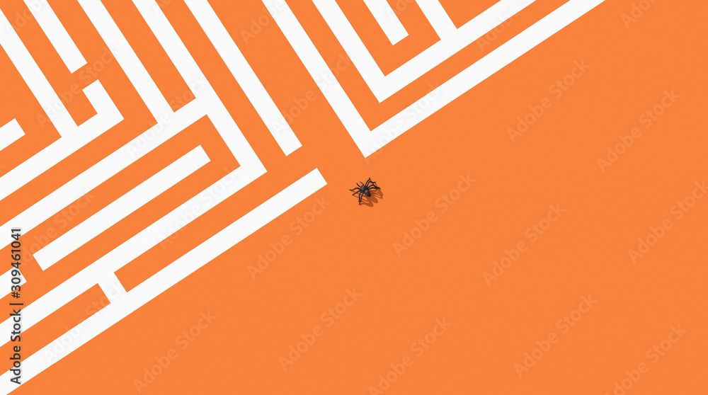 Spider and maze. Stock Photo | Adobe Stock