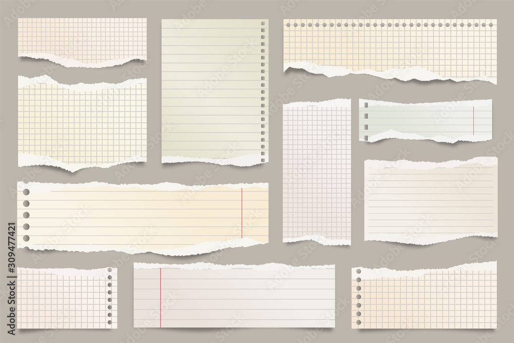 Colored ripped lined paper strips collection. Realistic paper scraps ...