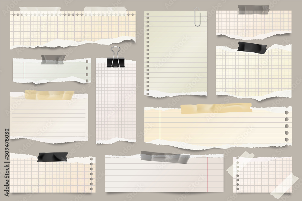 Colored ripped lined paper strips collection. Realistic paper scraps ...