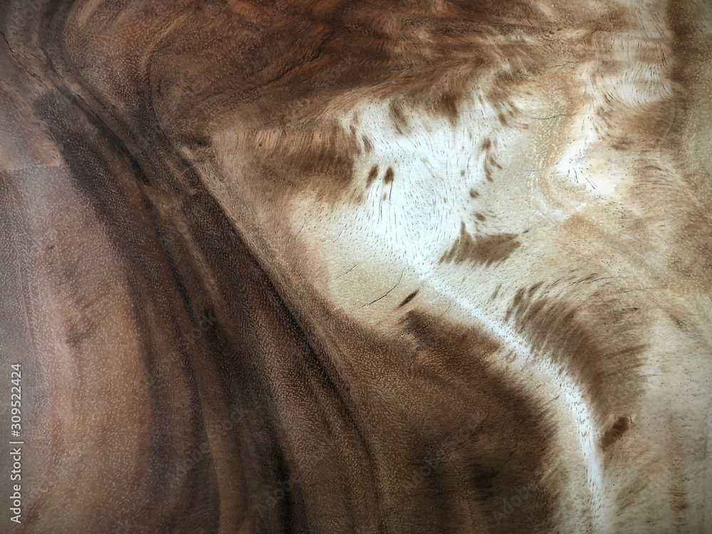 old wood background with beautiful curve lines, closeup wooden texture ...