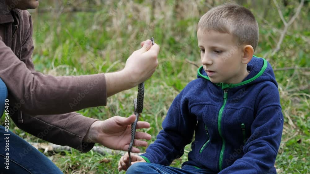 Detail of father hands with adder viper snake, child touching and ...