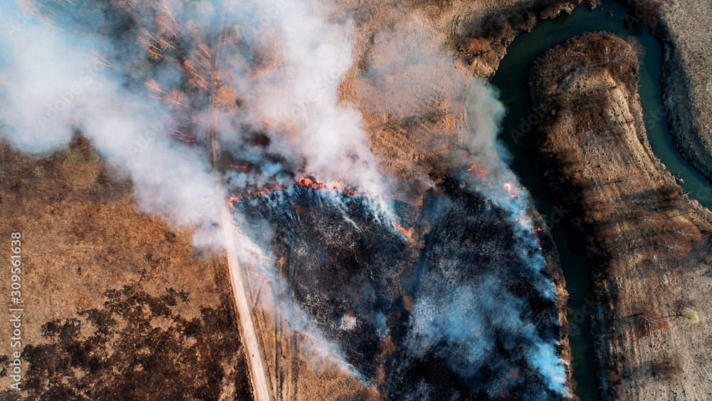 Strong fire in an empty field. Fire spreads in a united front, strong ...