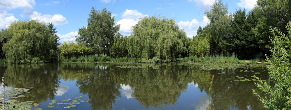 Panoramique sur un étang et sa végétation aquatique typique Stock-Foto ...