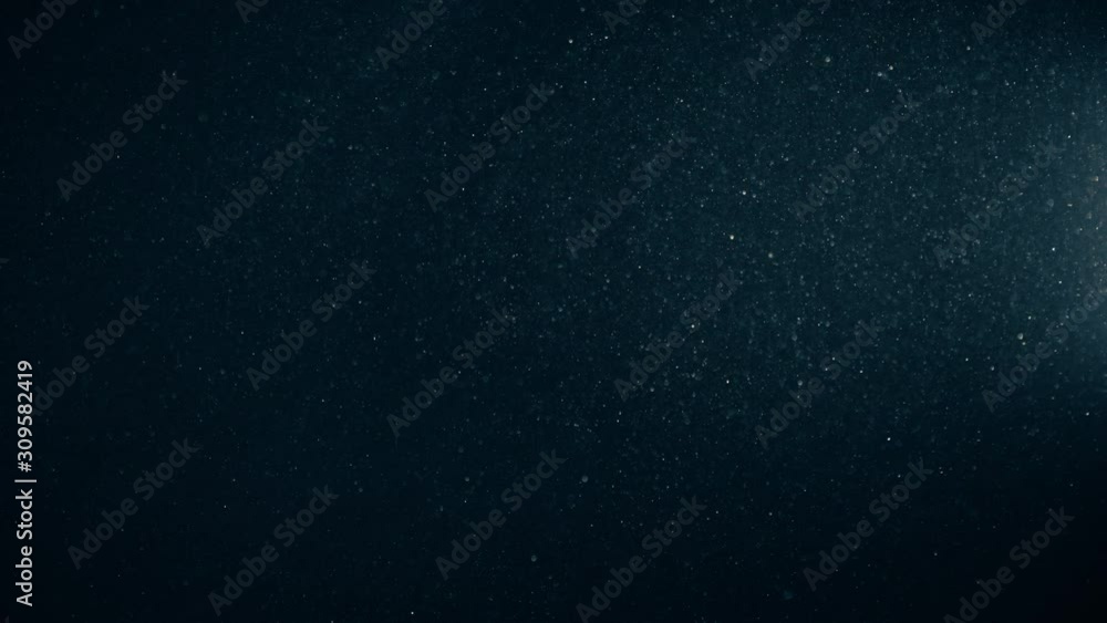 Natural Organic Dust Particles Floating On Black Background. Glittering ...