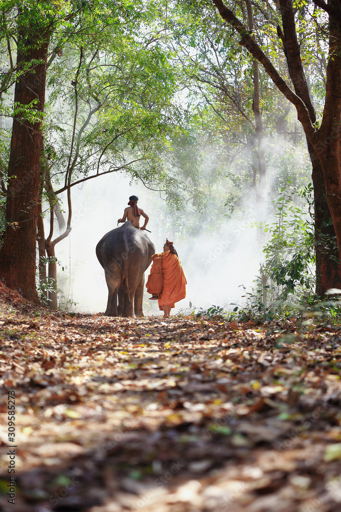 Buddhist monk walking under a tree with elephant is traditional of ...