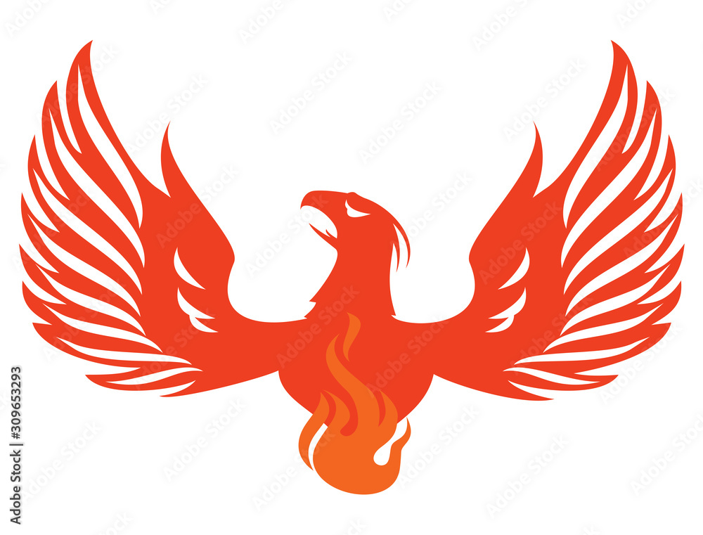Phoenix bird vector illustration Stock Vector | Adobe Stock