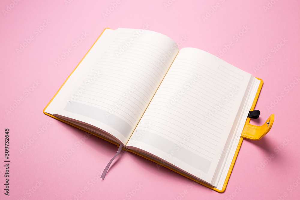 Diary with open blank pages for inscription on a pink isolated ...