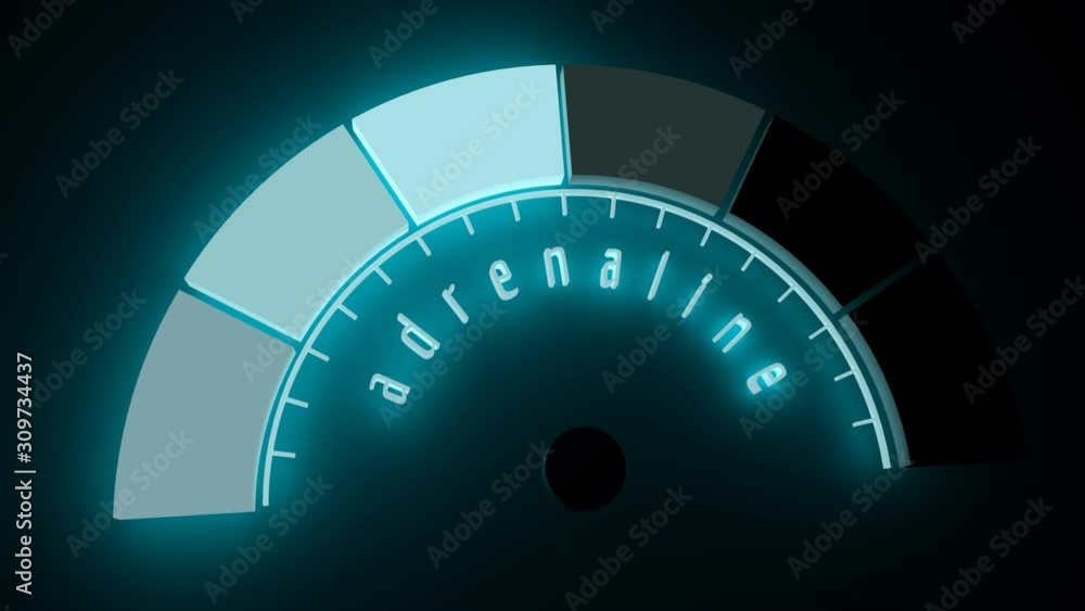 Hormone adrenaline result. The measuring device. Infographic gauge ...