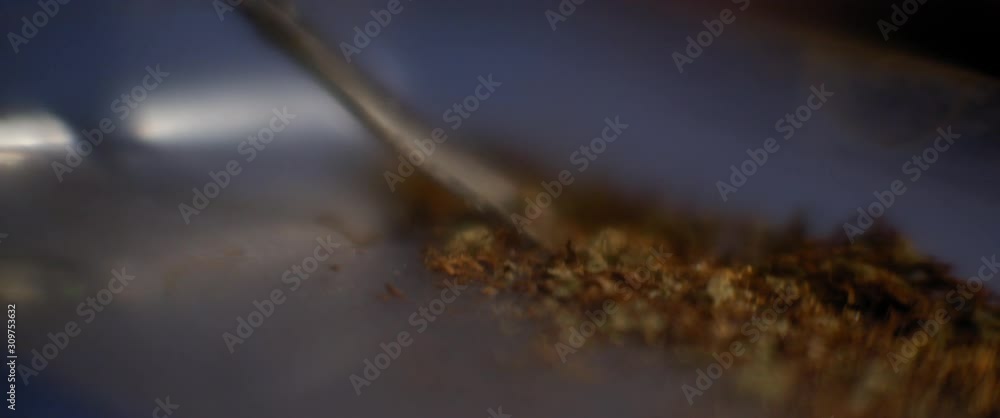 Trimming marijuana with scissors to roll a joint. Close up of weed ...