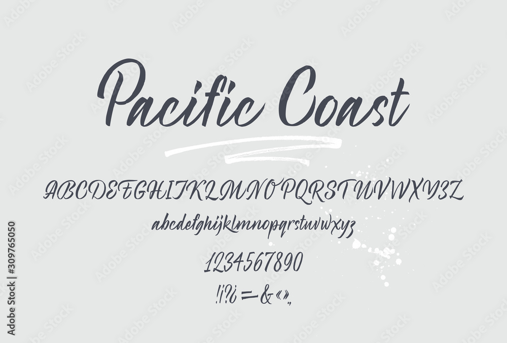 Pacific Coast handwritten font. Script. Stock Vector | Adobe Stock