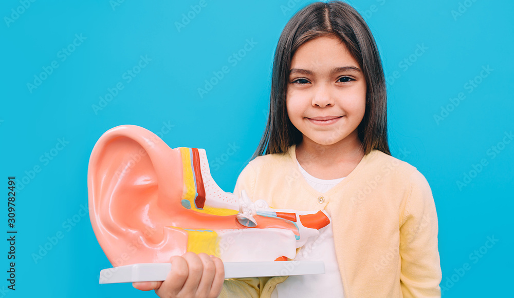 Cute mixed race child holding model of human ear. Concept Ear exam and ...