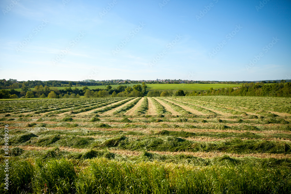 Préparation du foin dans un champ. Campagne française. Stock Photo ...