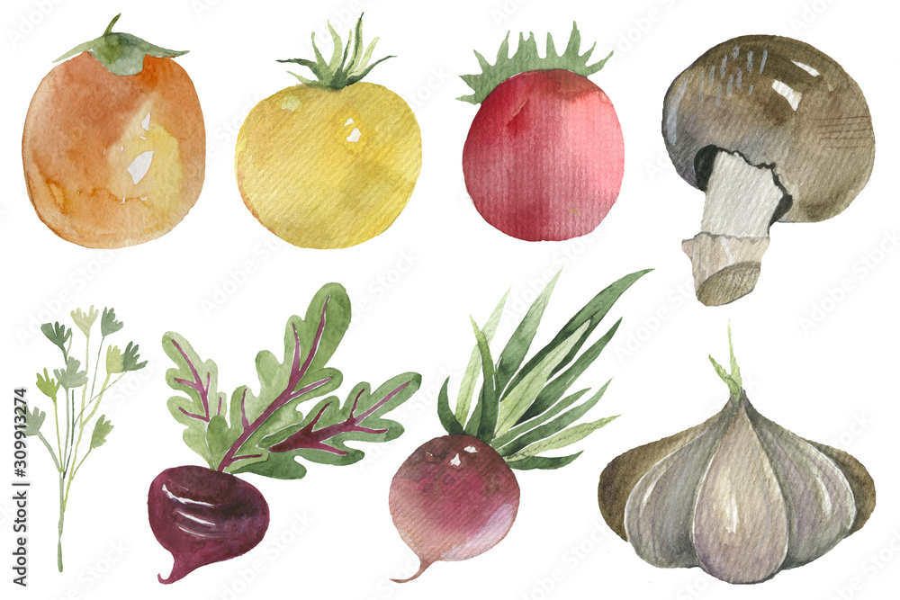 Vegetables set drawn watercolor blots and stains with garlic, radish ...