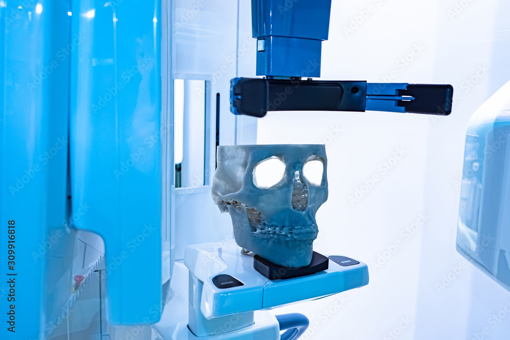 Oral and maxillofacial surgery. Study of the human skull. Human skull ...