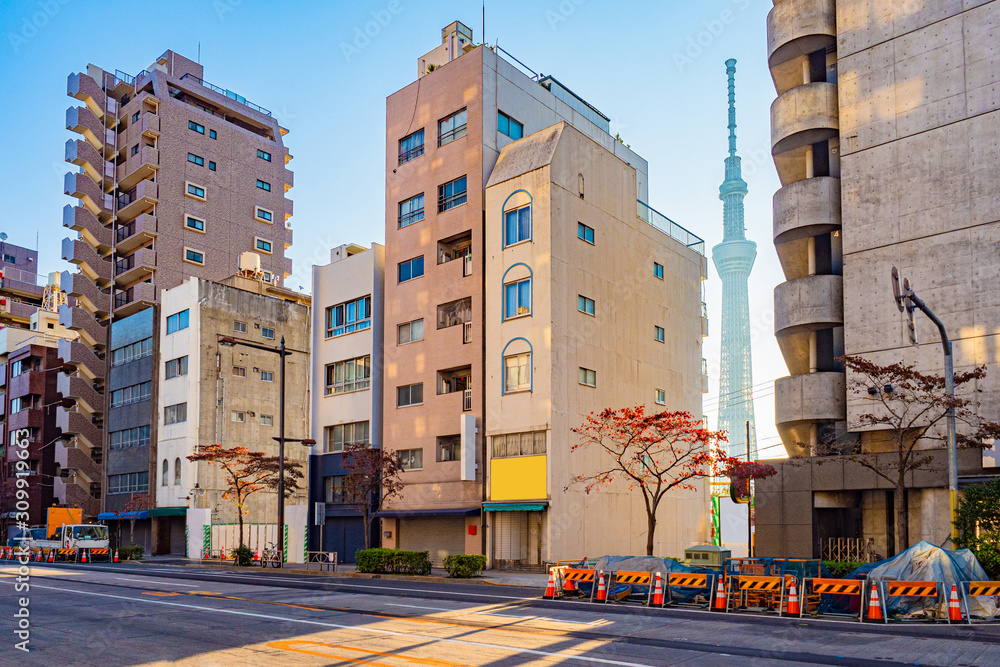 Japan. Tokyo. Tokyo Sky Tree. Residential buildings in Japan ...
