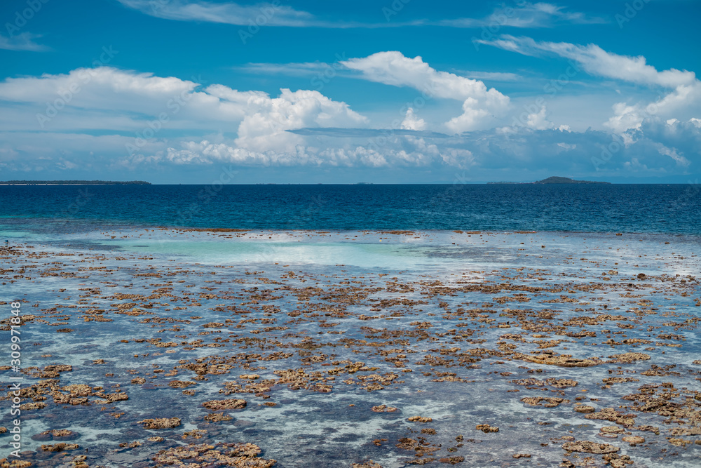 Live coral at low tide on Sampoerna, Sabah, Malaysia. Stock Photo ...