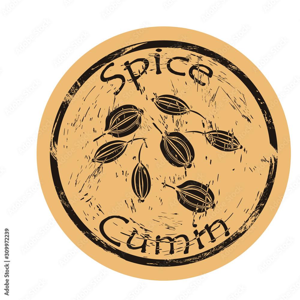 Cumin spice view icon vector round shabby emblem design, old retro ...