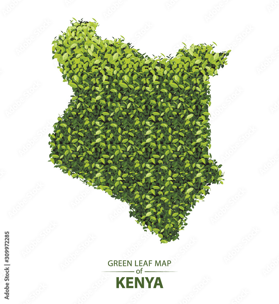 Green leaf map of Kenya vector illustration of a forest is concept ...