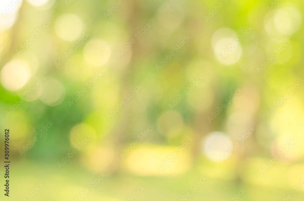 abstract bio green blur nature background trees lush foliage in the ...
