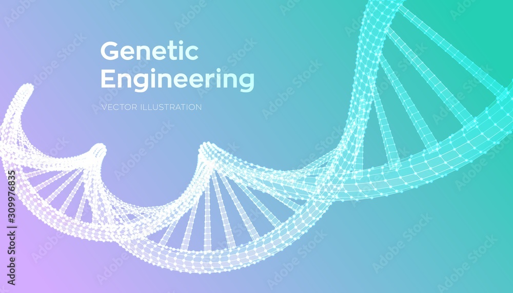 DNA sequence. Wireframe DNA molecules structure mesh. DNA code editable ...