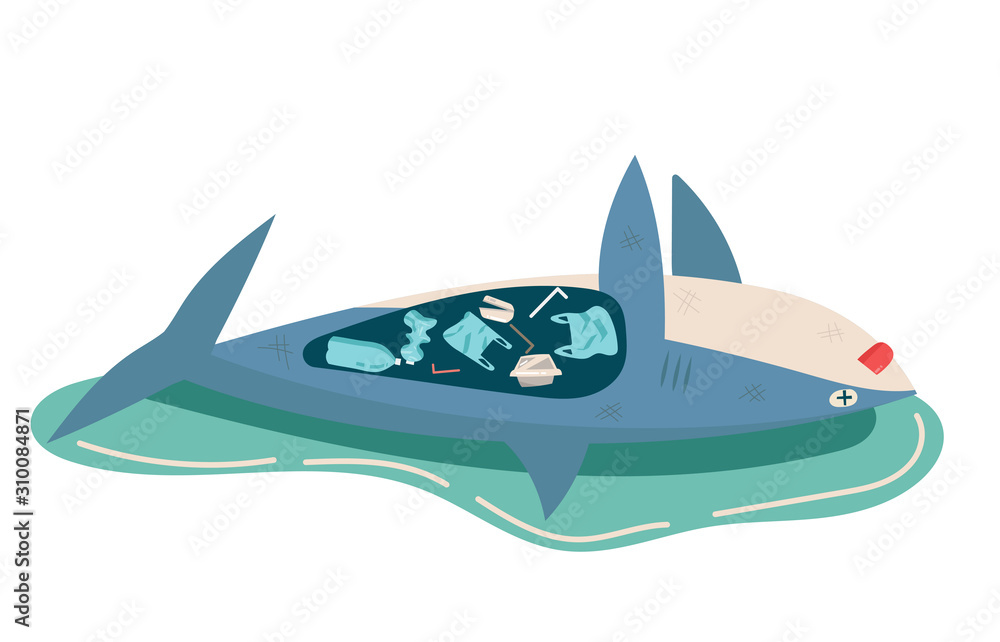 Cartoon Dead Shark