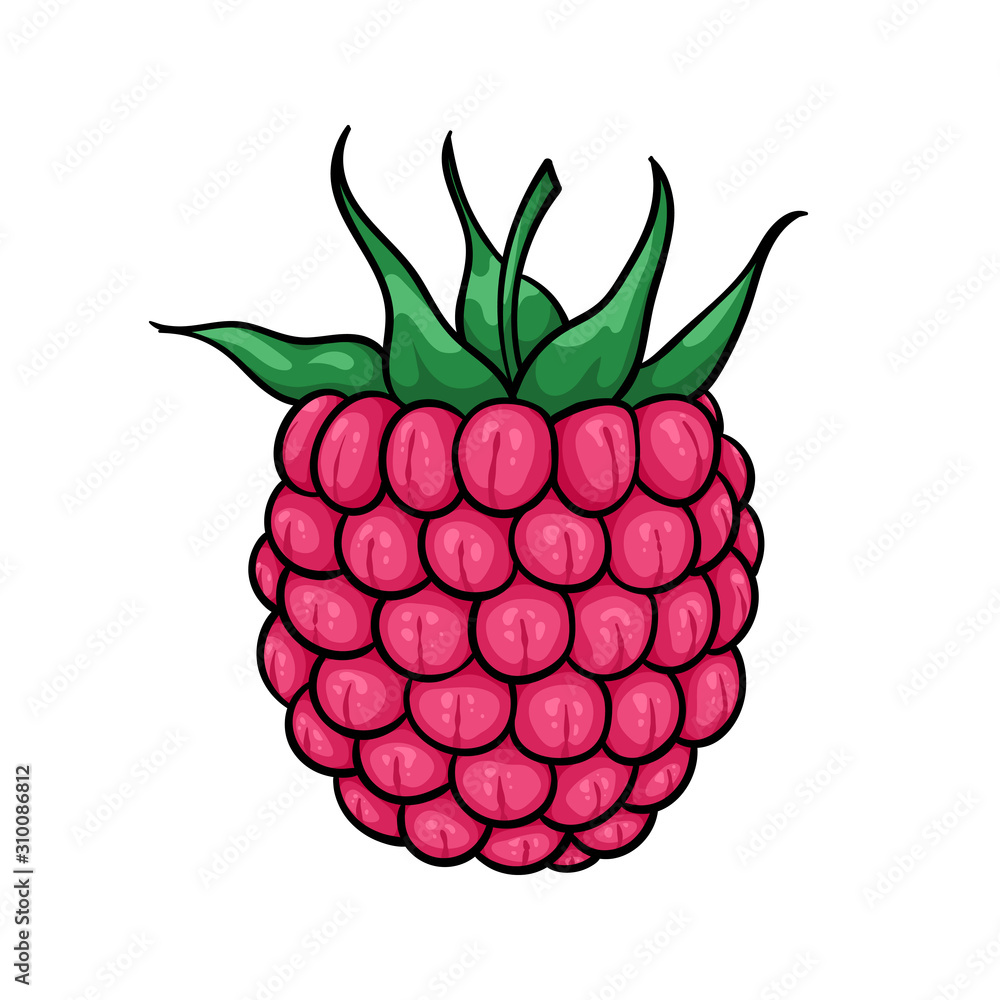 Beautiful cartoon pink raspberry with black contour, symbol of summer ...