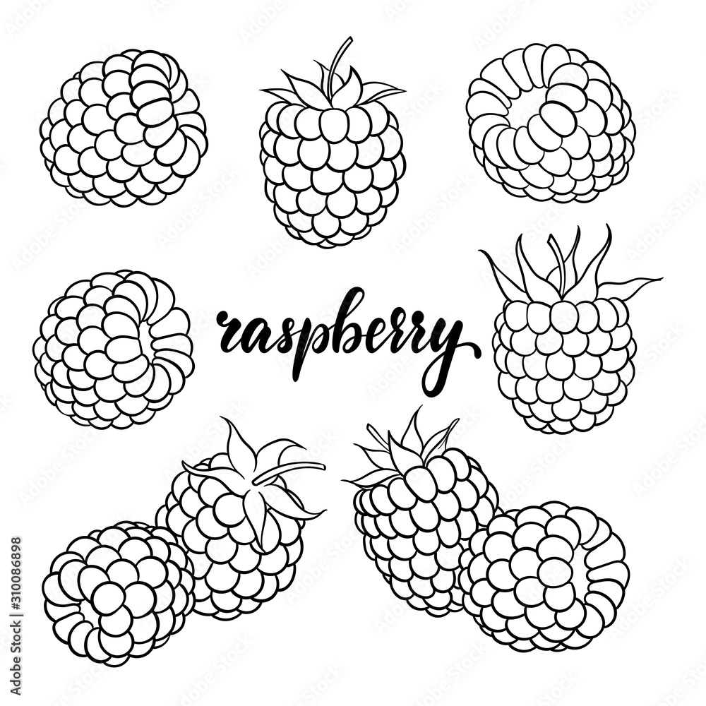 set of cartoon black and white outline raspberry, with lettering text ...