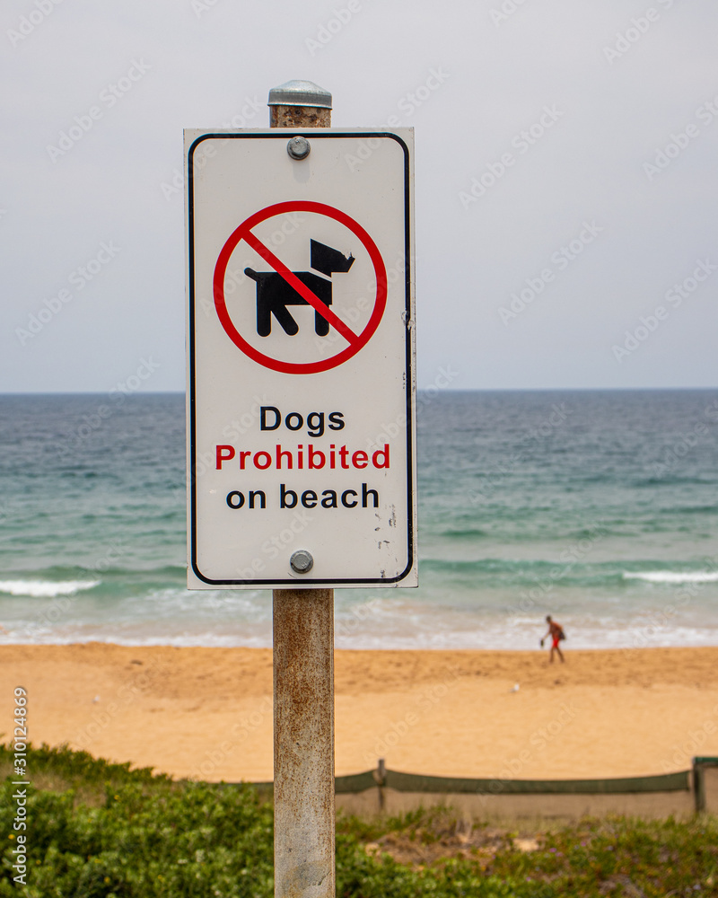 Warning. Dogs Prohibited on beach. Sign that prohibited dogs from ...