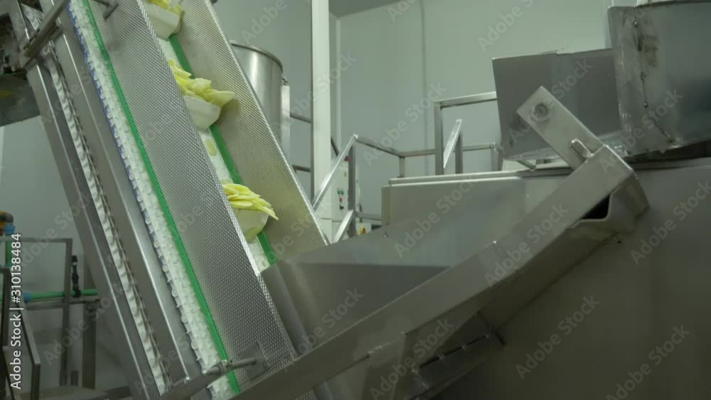 inside a potato factory, process separating, cutting and cleaning ...
