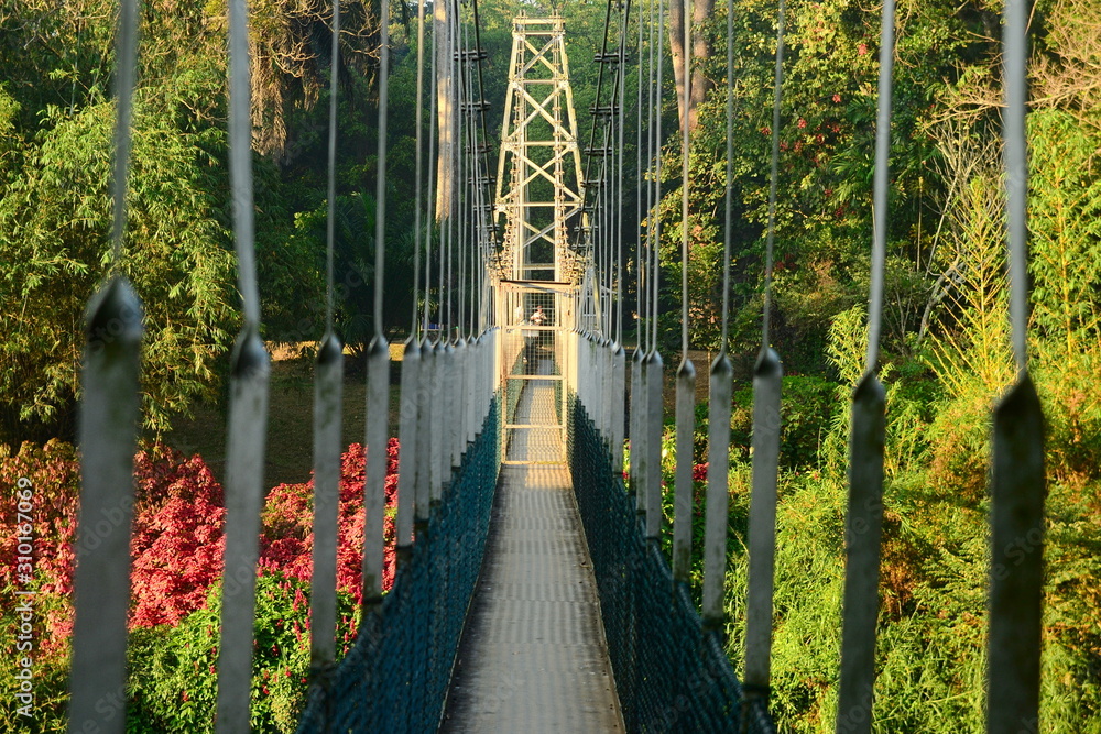 Foto de Suspension bridge accross Mahaweli river near Royal Botanical ...