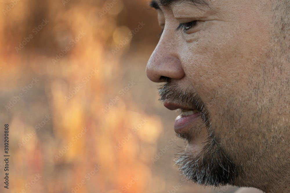 Japanese Face Profile