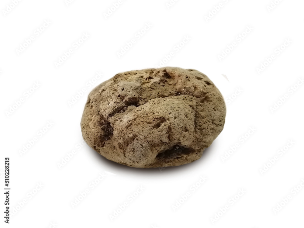 pumice rock isolated on white background. Pumice is an extrusive ...