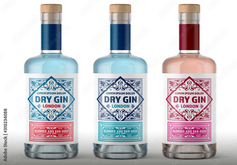 Vintage Gin Bottle Packaging Layout Stock Template | Adobe Stock